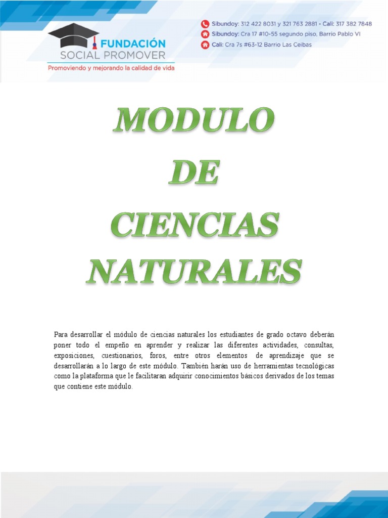Taller 3 de Ciencias Naturales 8° | PDF | Metabolismo | Alimentos