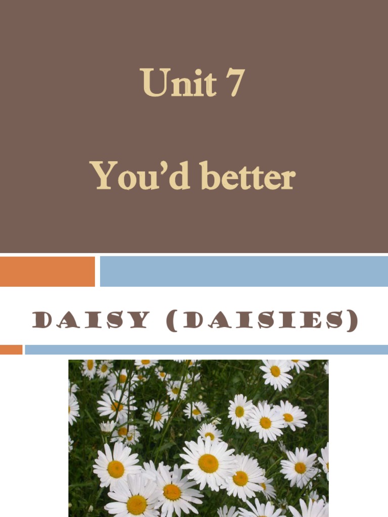 Vocabulary Unit 7 (Double Click 2) | PDF