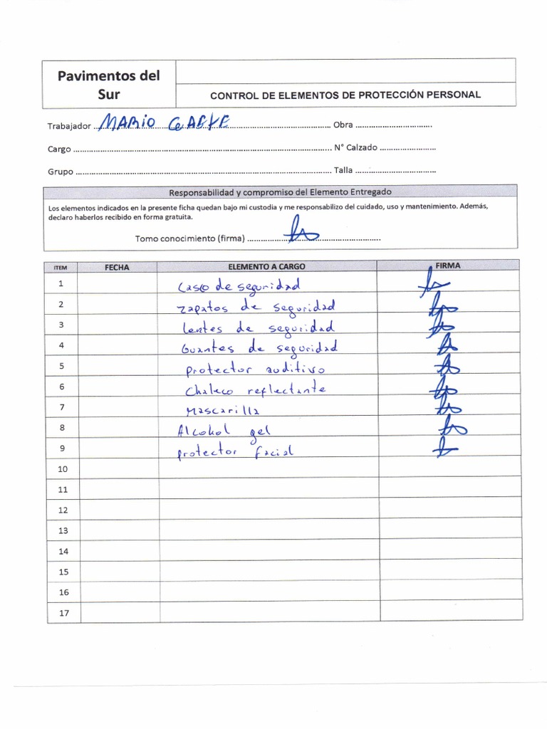 Entrega EPP - Mario Gaete | PDF