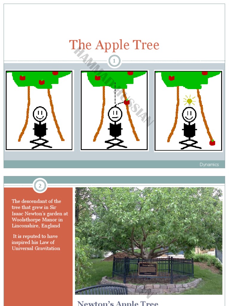 Dynamics Notes Physics | PDF | Force | Friction