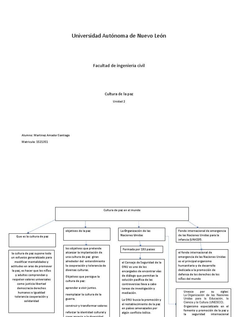 Reporte de Lectura 2 | PDF | Naciones Unidas | Relaciones internacionales