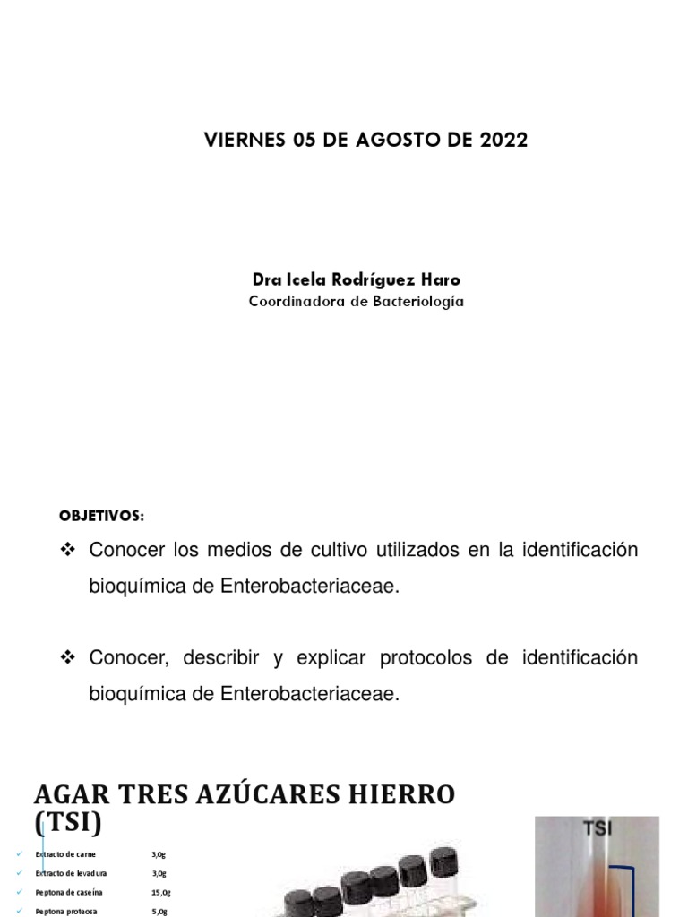 OVA PRACTICA - SEM 11.2 Identificación | PDF | Salmonela | Urea