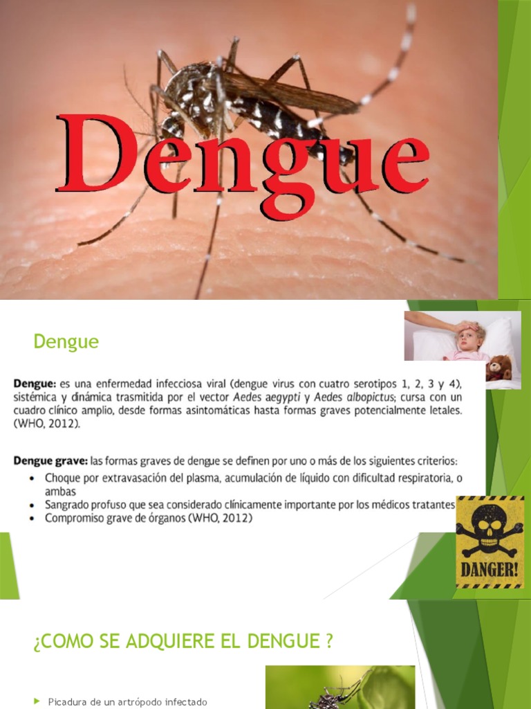 Clasificación y Manejo del Dengue | PDF | Fiebre del zika | Medicina ...