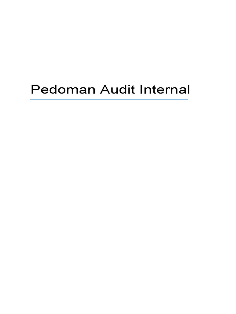 Pedoman Audit Internal Puskesmas | PDF