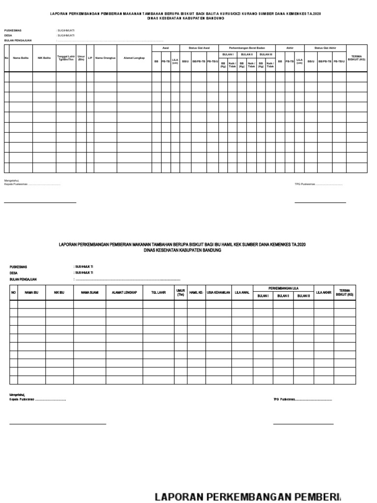 Format Laporan Biskuit Kemenkes Balita Dan Bumil 2020. | PDF
