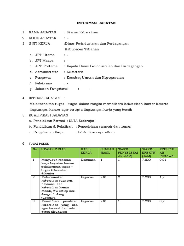 Contoh Anjab Baru | PDF