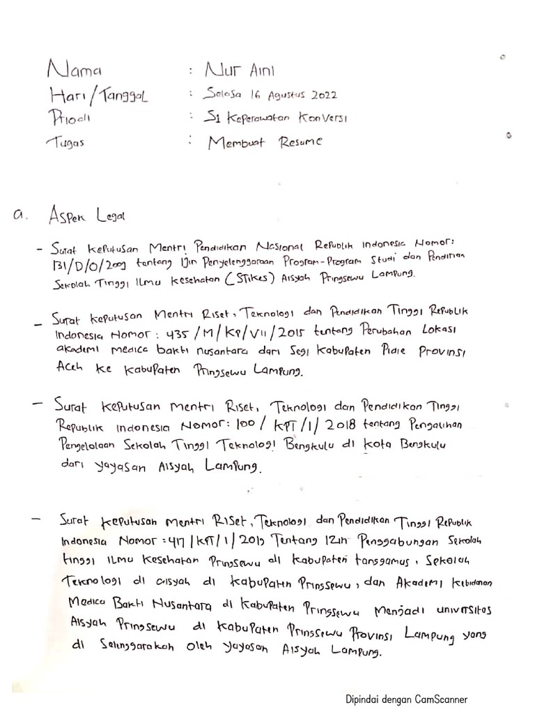 Resume Nur Aini | PDF