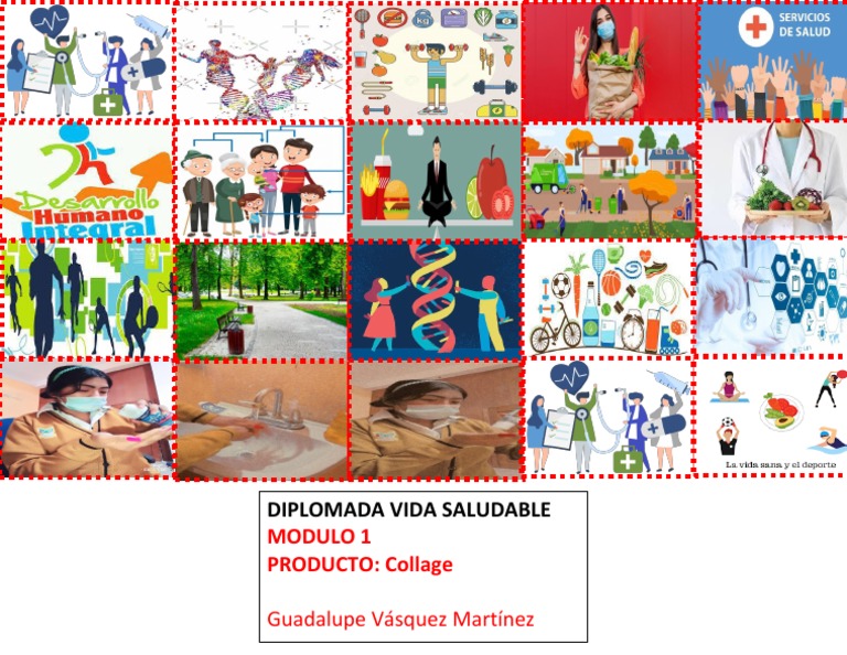 Producto Collage Vida Saludable Modulo 1 | PDF