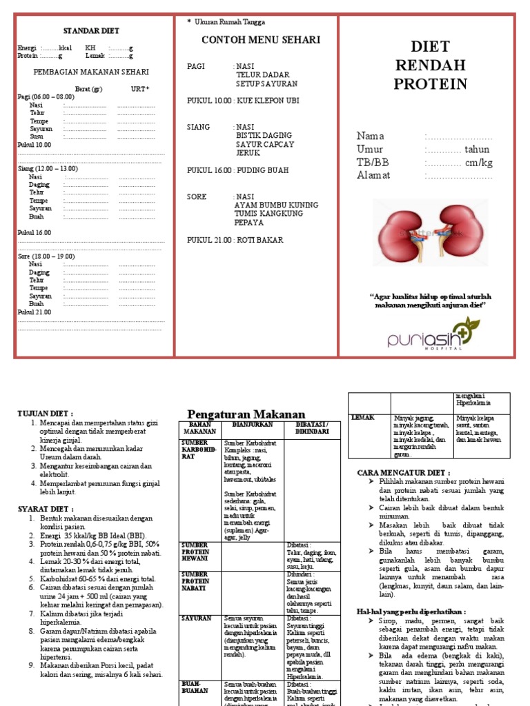 Diet Rendah Protein | PDF