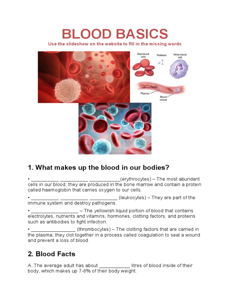 Blood Basics: 1. What Makes Up The Blood in Our Bodies? | PDF | Blood ...