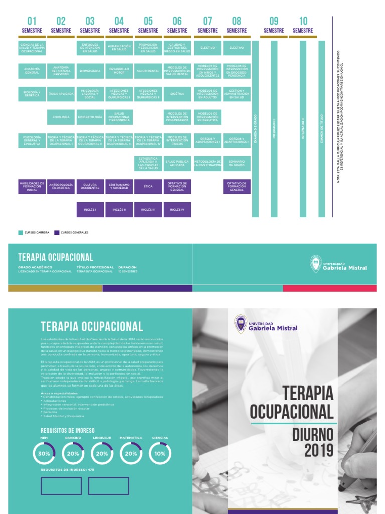 Terapia Ocupacional Malla Ugm | PDF | Terapia ocupacional | Psicoterapia