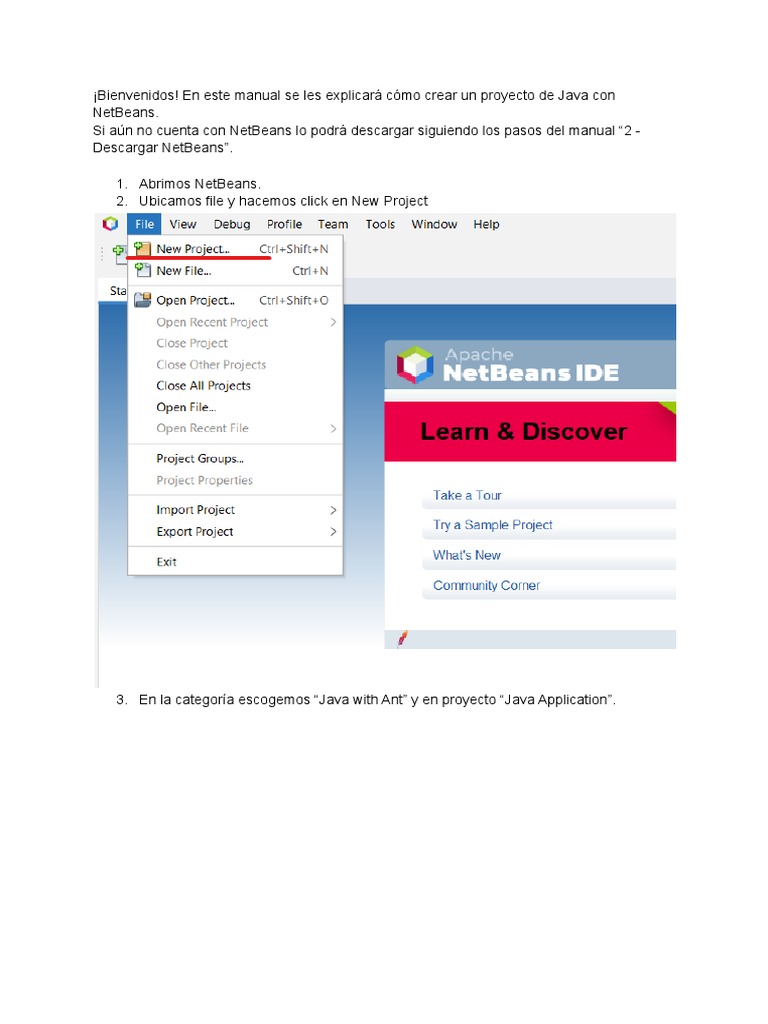 3 - Crear Un Proyecto en Netbeans | PDF
