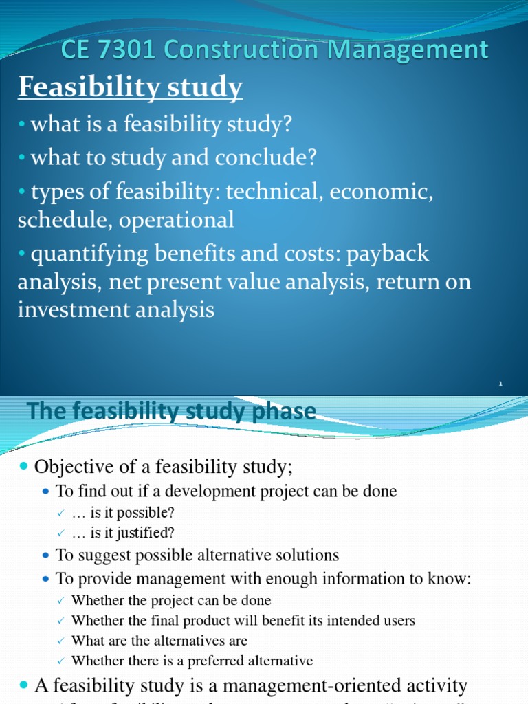 Feasibility Study | PDF | Net Present Value | Feasibility Study