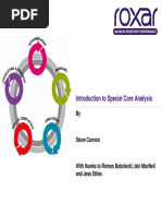 Val Nav Advanced Manual | PDF | Forecasting | Discounted Cash Flow