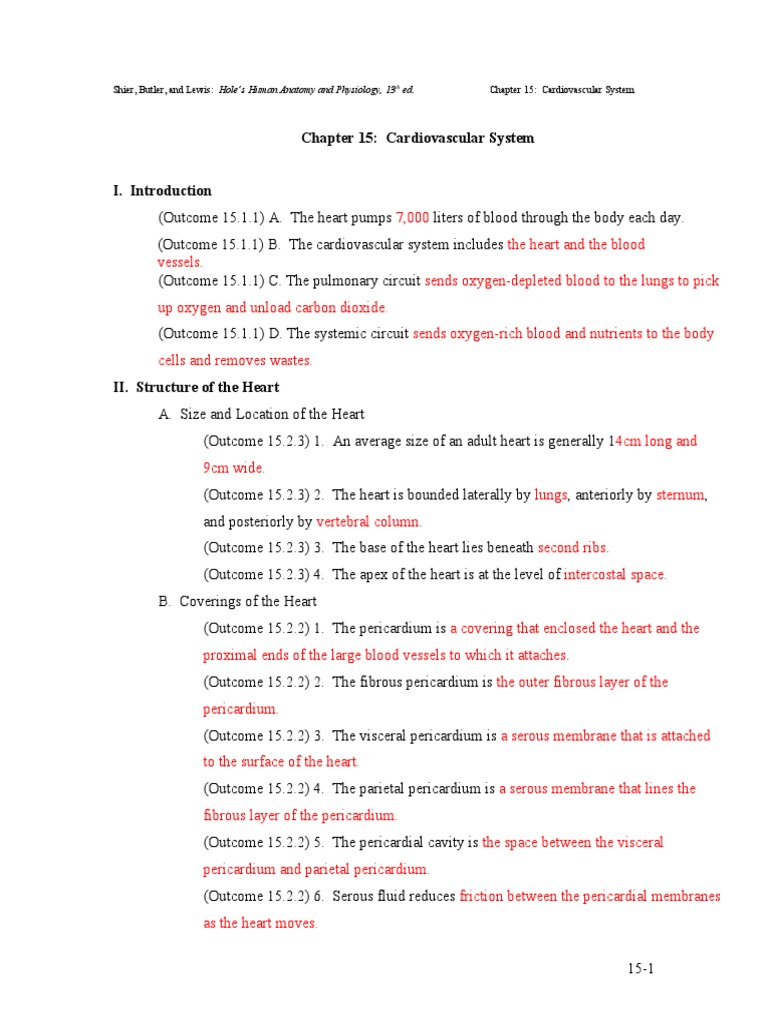 ch15_studyoutline_Crdiovascular-system | PDF | Heart Valve | Ventricle (Heart)