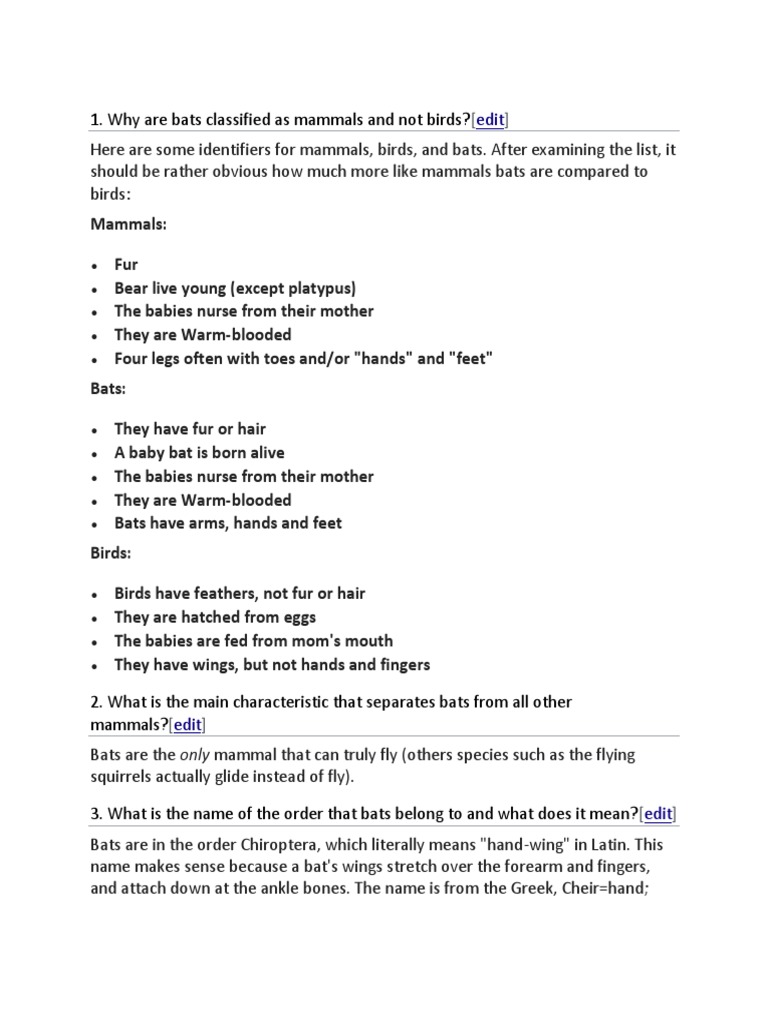 BATS Pathfinder Honour | PDF | Bat | Mammals