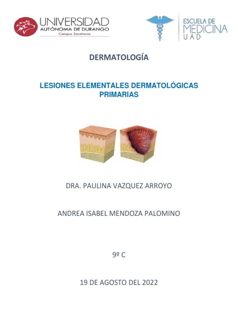 Lesiones Dermatológicas Elementales Primarias | PDF | Piel ...