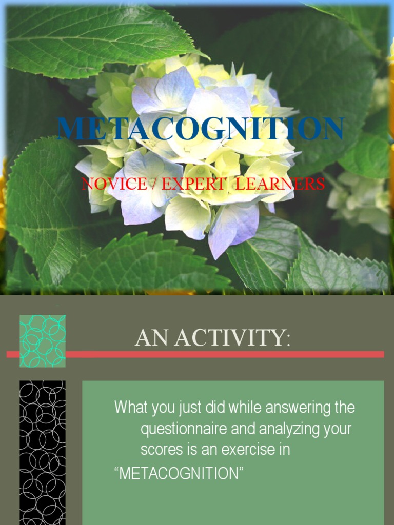 Metacognition Novice Expert Learners Pdf Metacognition Learning