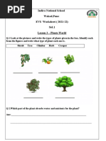 Animals Year 4 | PDF