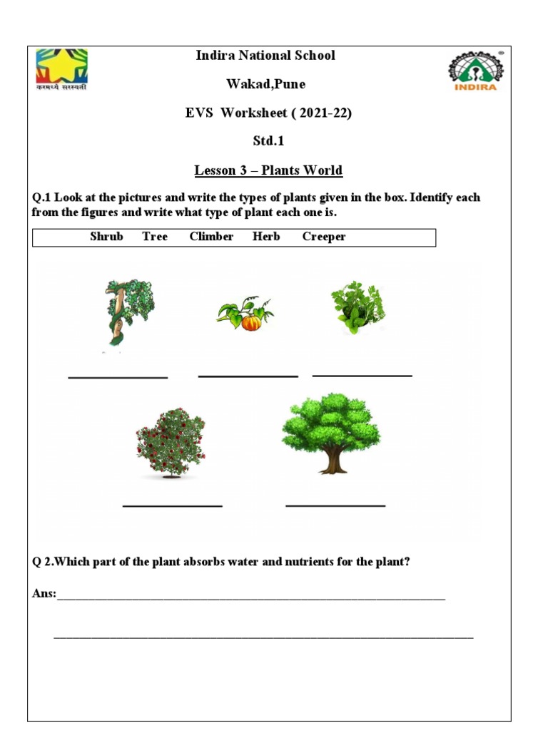 Std.1 EVS Worksheet L-3 Plants World | PDF | Home & Garden | Science & Mathematics
