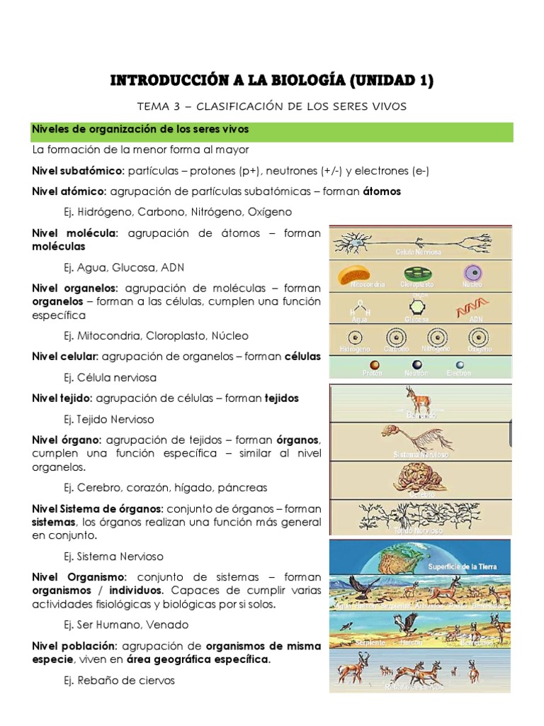 Clasificación y características de seres vivos | PDF | Organismos ...