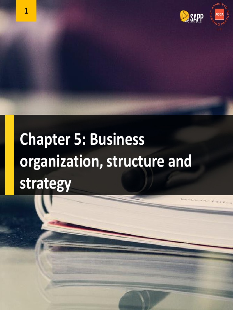 Chapter 5: Business Organization, Structure and Strategy | PDF ...