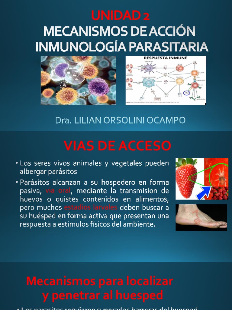 Mecanismo de Accion Inmunidad 2-2021 | PDF