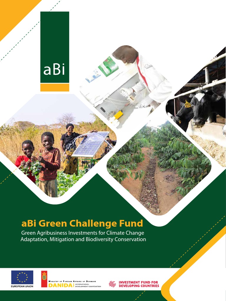 Green Challenge Fund for Agribusiness | PDF | Agriculture | Climate Change