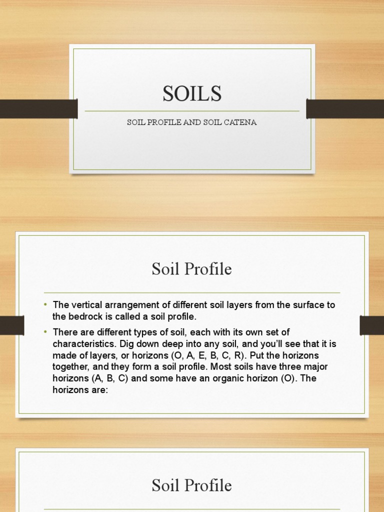 SOILS Profile and Catena | PDF | Soil | Sedimentology