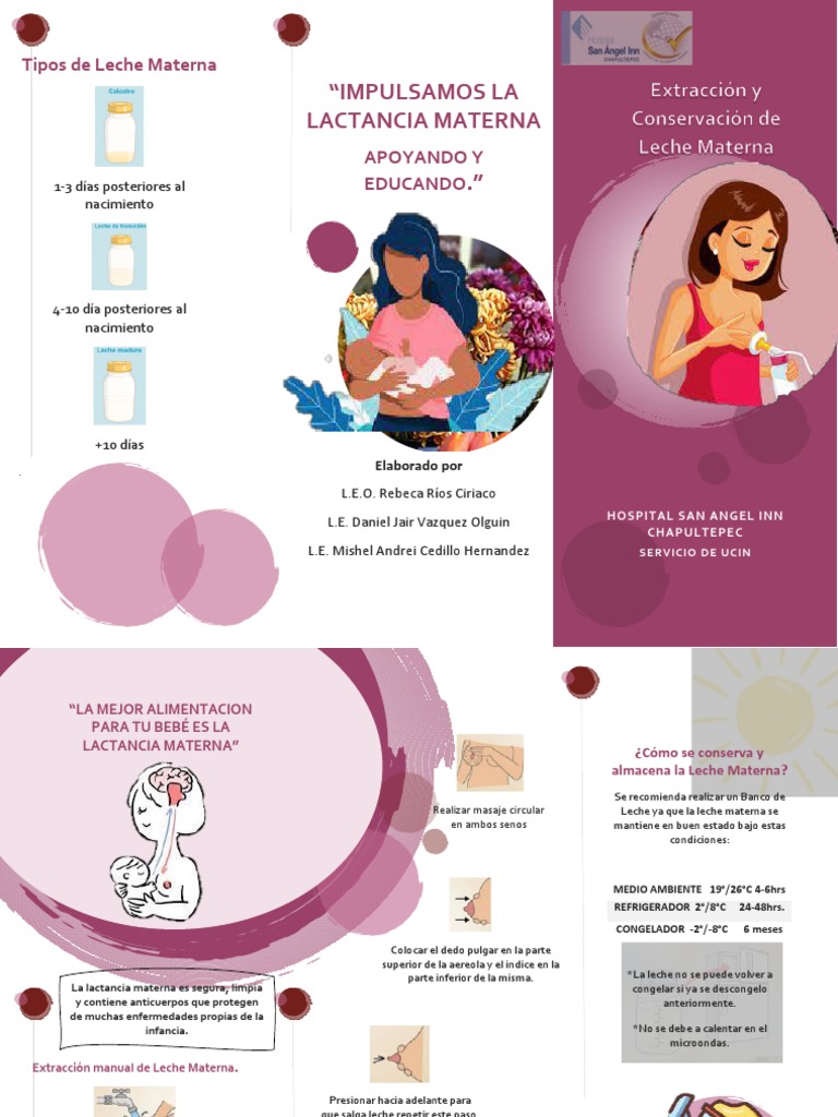 Folleto Lac | PDF | La leche materna | Especialidades Medicas