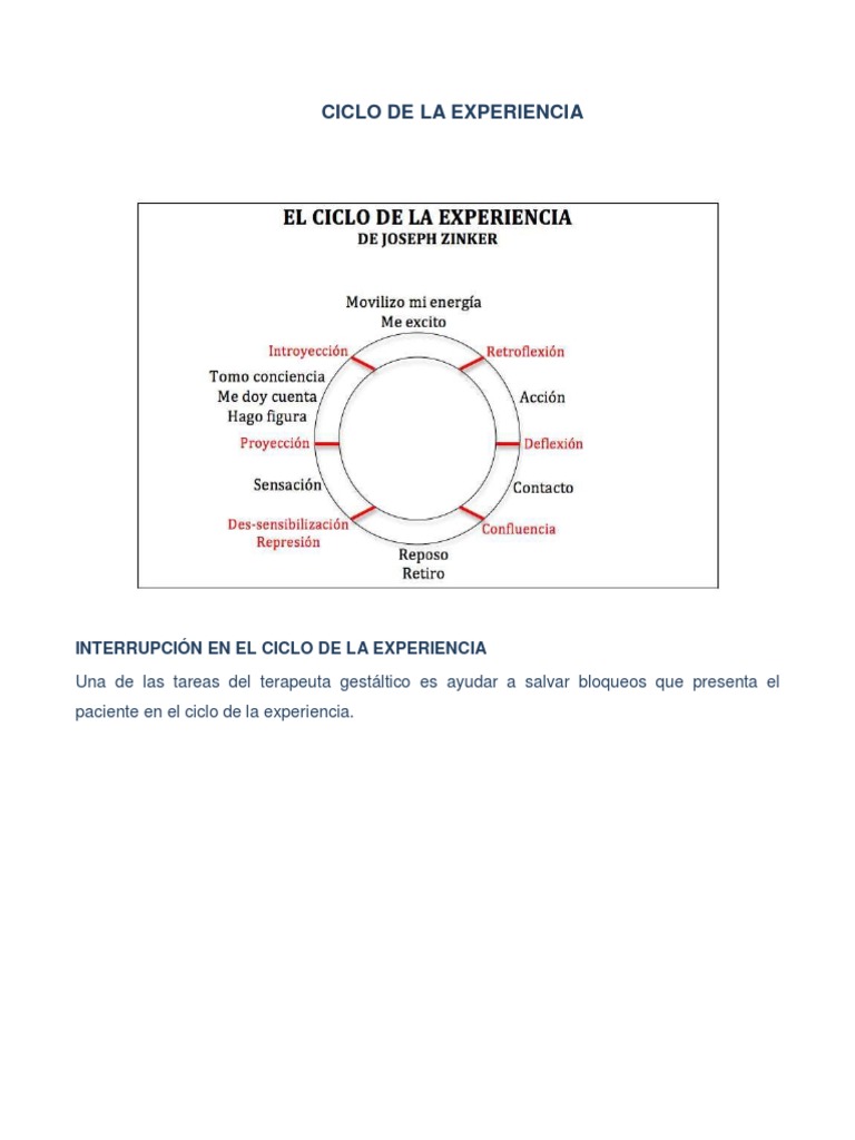 Ciclo de La Experiencia | PDF | Terapia Gestalt | Experiencia