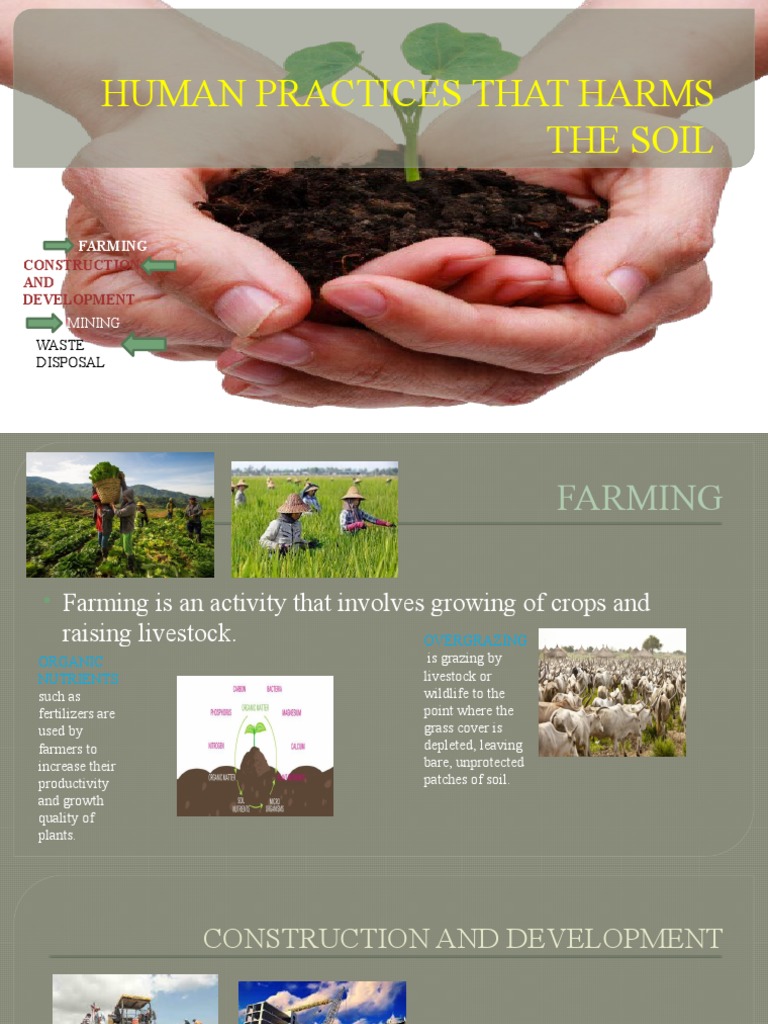 Human Practices That Harms The Soil | PDF