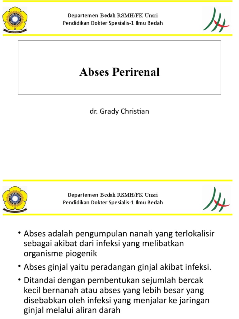 Abses Perirenal: Penyebab dan Penanganan | PDF