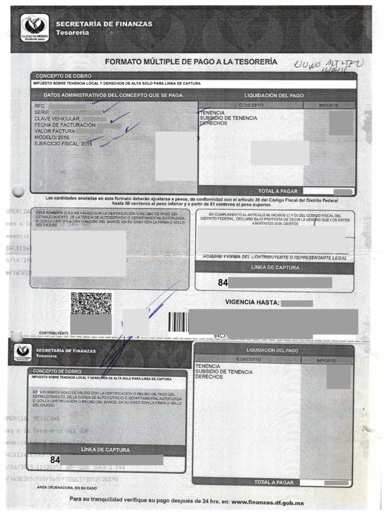 Formato de Alta de Placas de CDMX | PDF