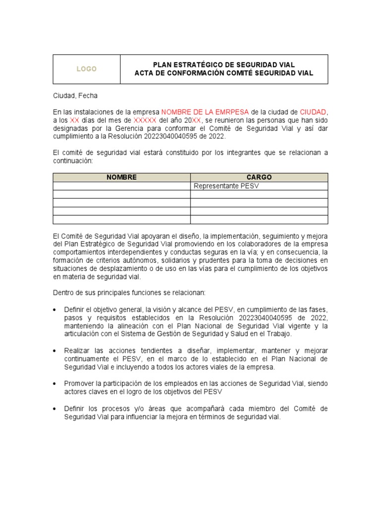 Acta Conformacion CSV | PDF | Valores | Planificación estratégica