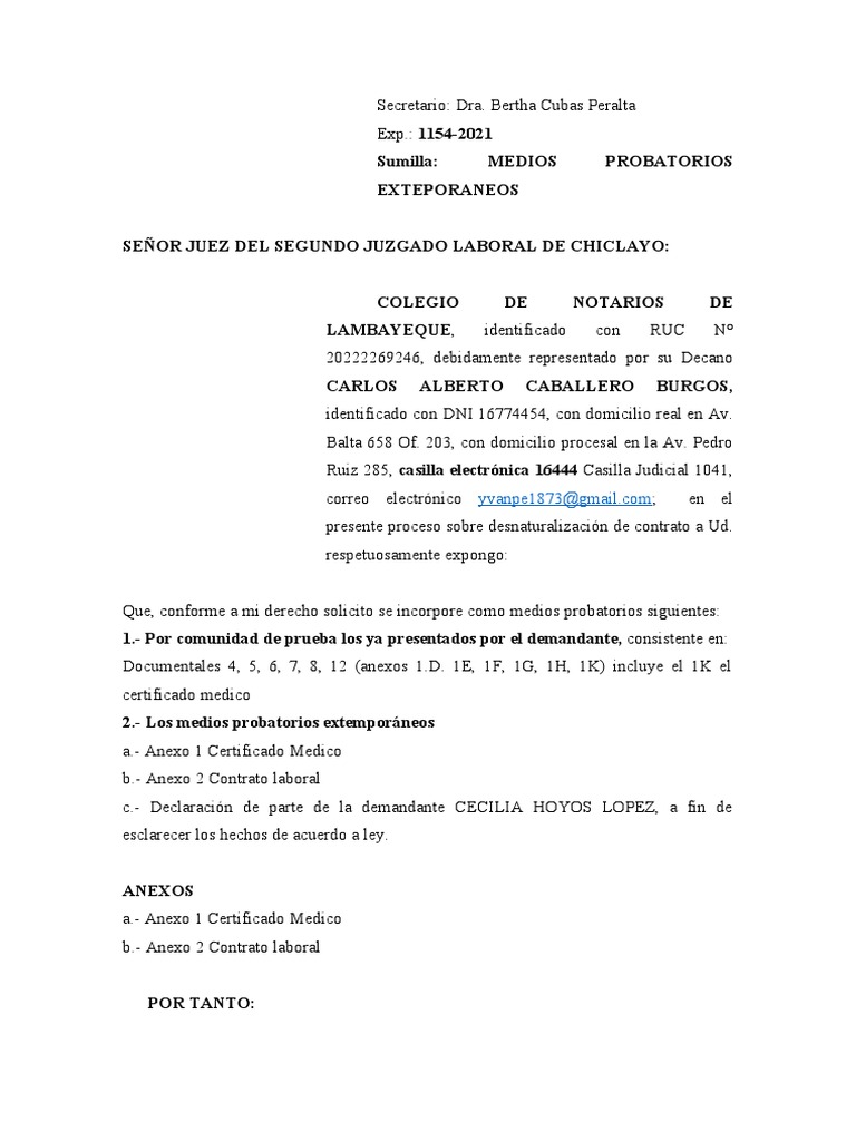 Medios Probatorios extemporaneos | PDF