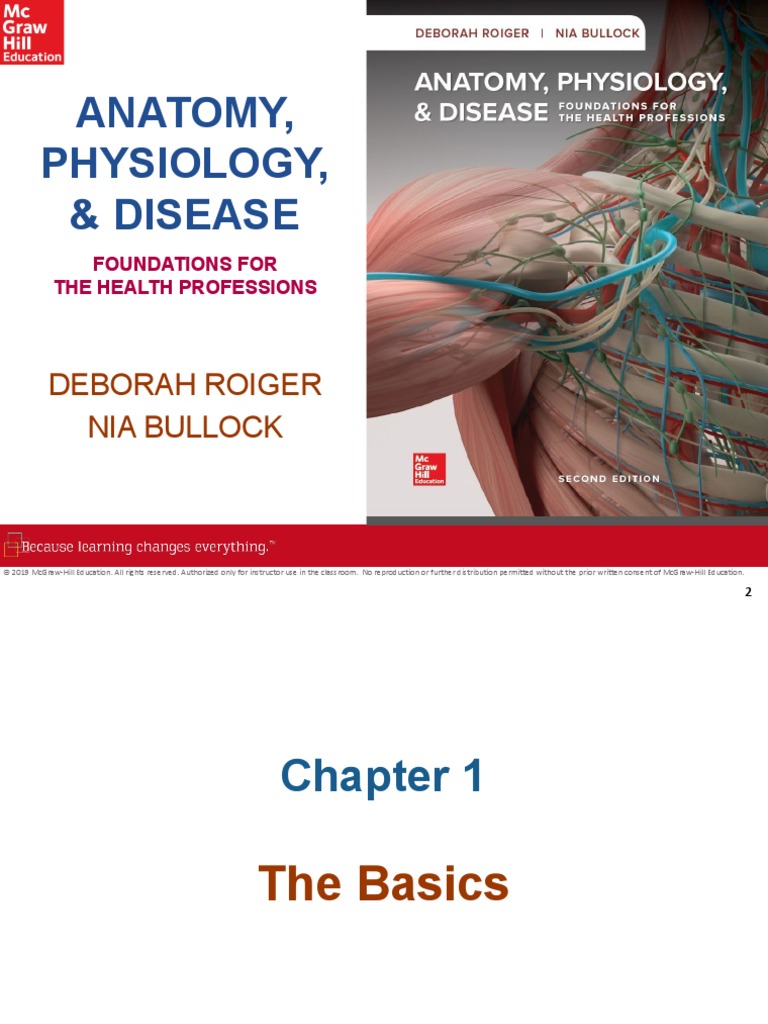 Roiger Bullock AP2e PPT Chapter01 | PDF | Peritoneum | Anatomical Terms Of Location