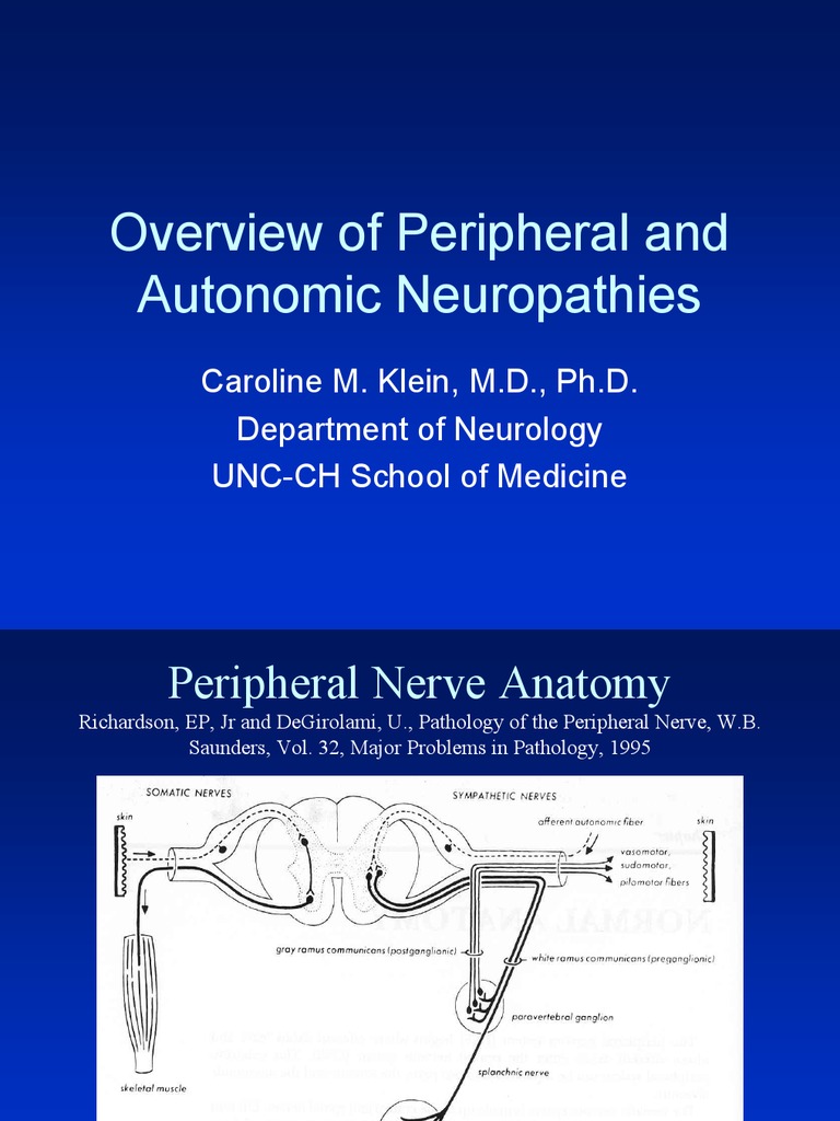 Overview of Peripheral and Autonomic Neuropathies | Download Free PDF ...