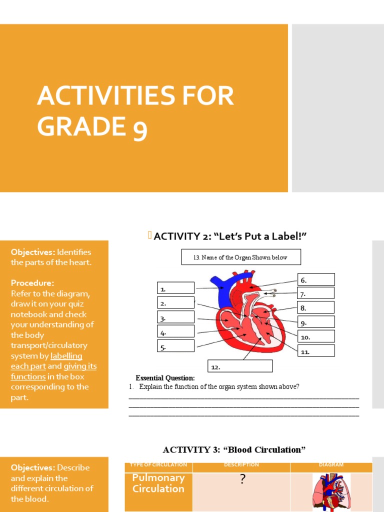 Grade 9 Circulatory & Respiratory Activities | PDF | Circulatory System ...