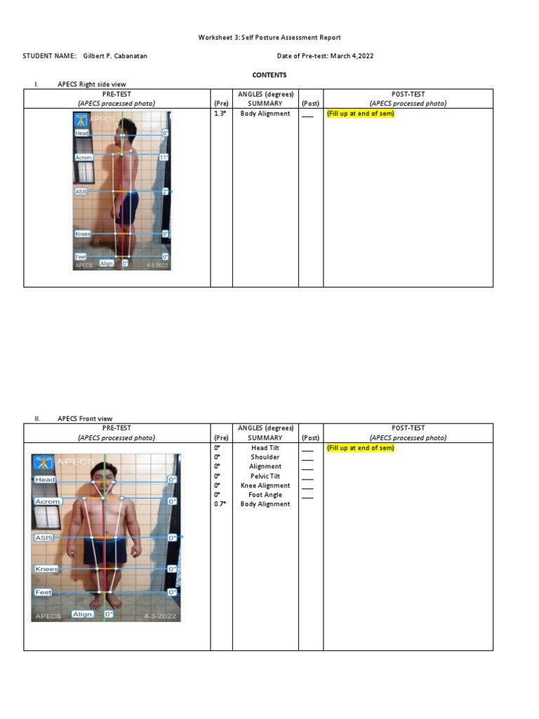 APECS & Paterson Posture Assessment | PDF | Pelvis | Anatomical Terms Of Location