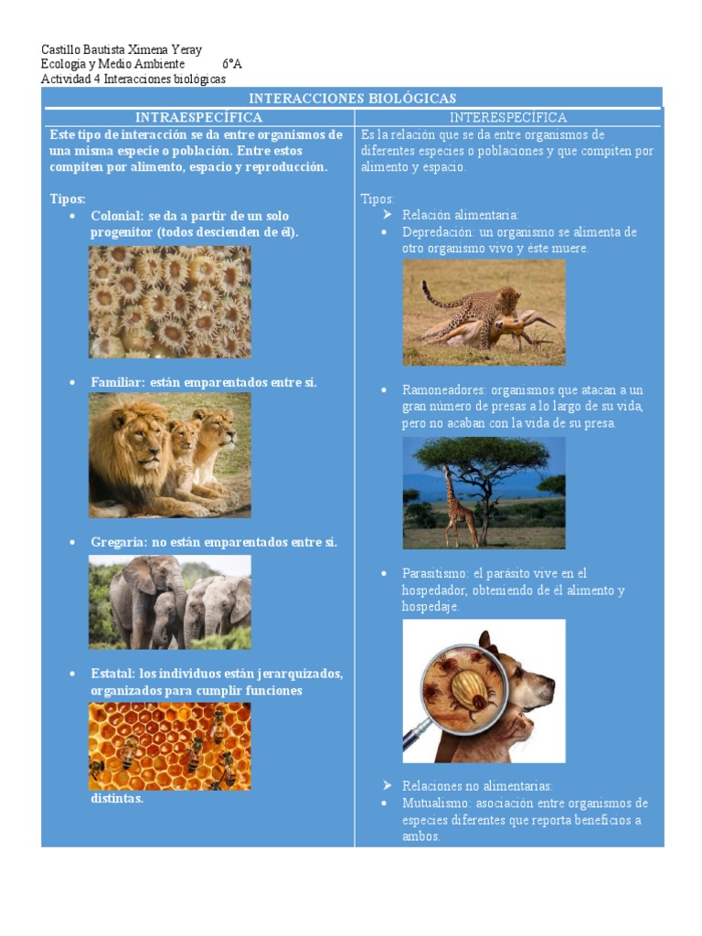Interacciones biológicas en ecología | PDF | Simbiosis | Depredación