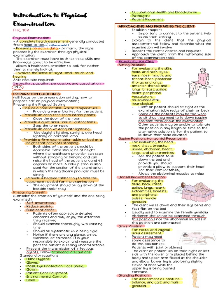 Physical Examination Techniques Guide | PDF | Physical Examination