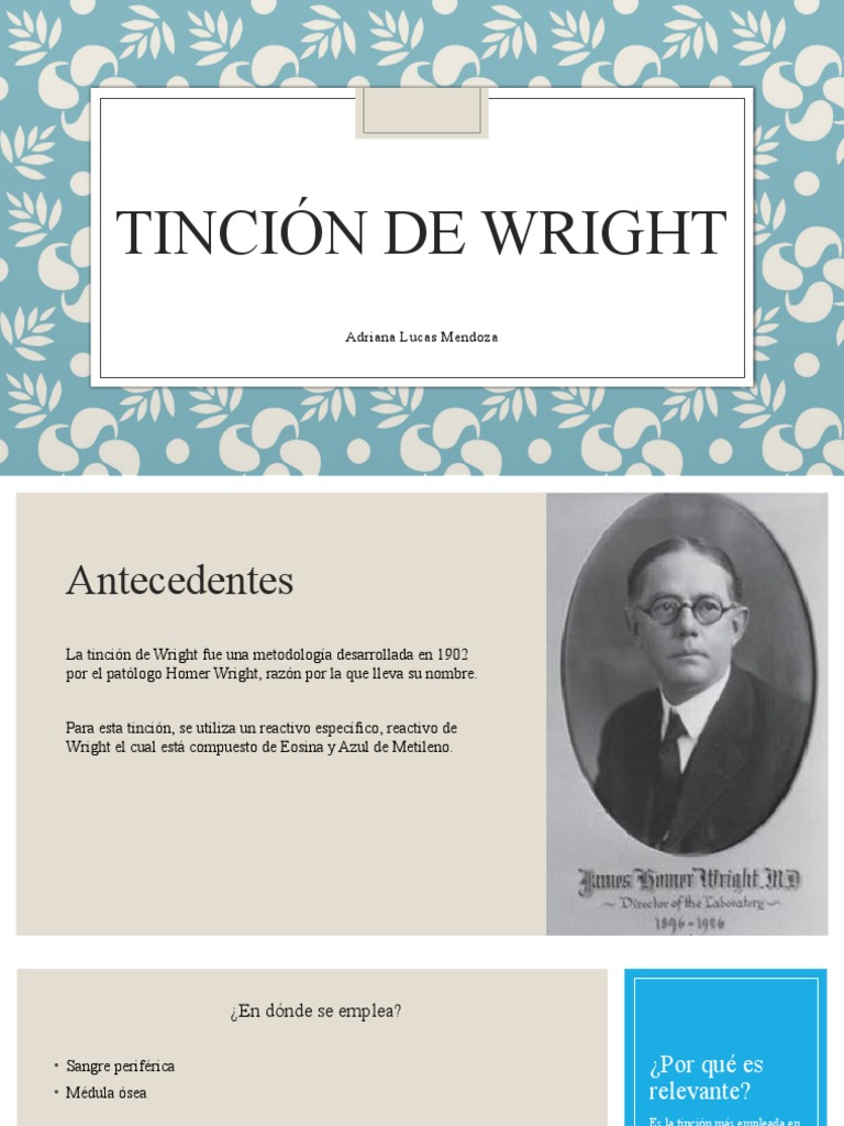 Presentación Tinción de Wright | PDF