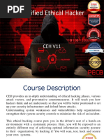 Visa Consumer Authentication Service VCAS Infographic | PDF ...