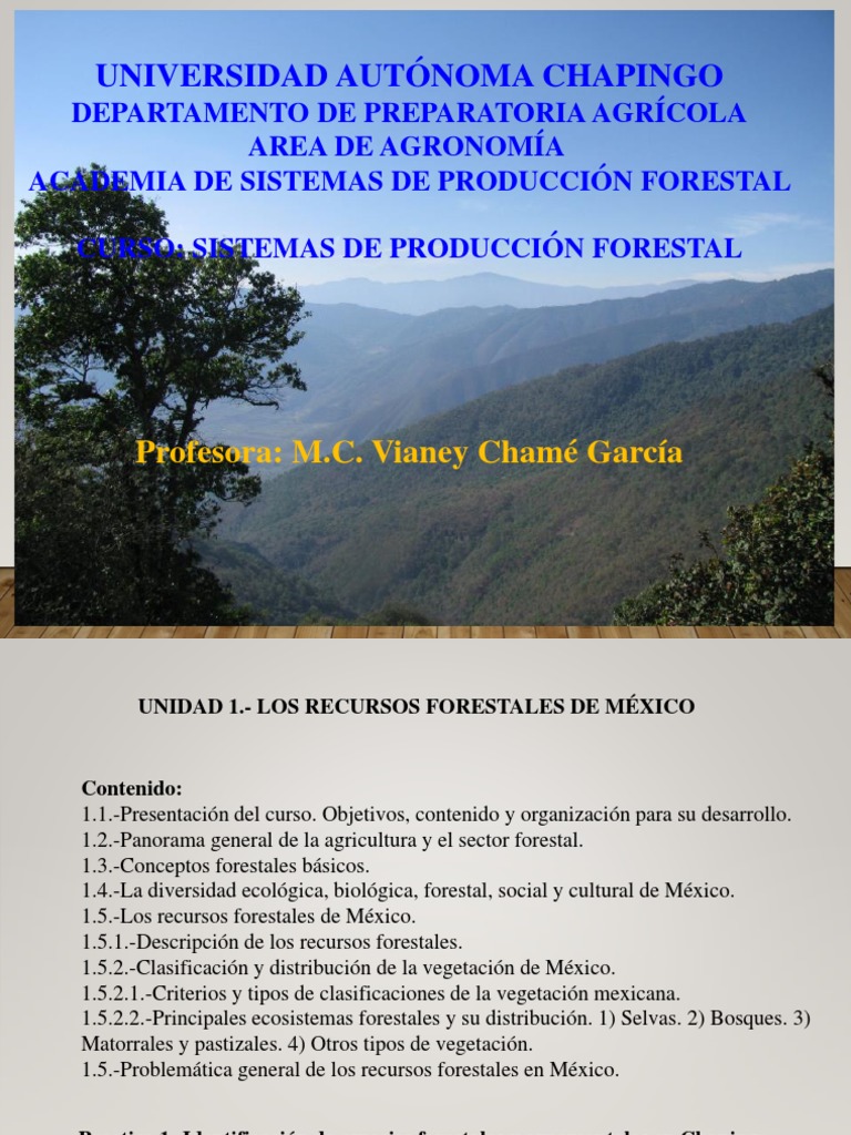 Los Recursos Forestales y Su Importancia | PDF | Los bosques | Arboles