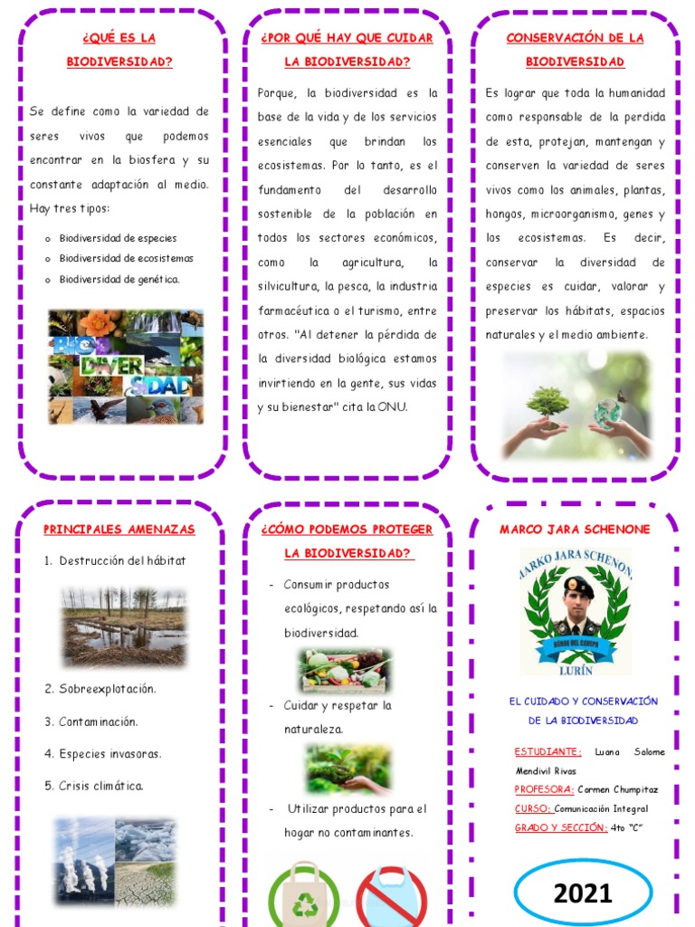 Triptico Bio | PDF | Biodiversidad | Ecosistema