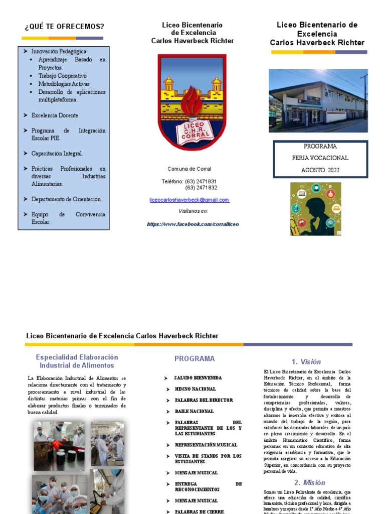 Triptico Programa Vocacional | PDF | Maestros | Modificación de comportamiento