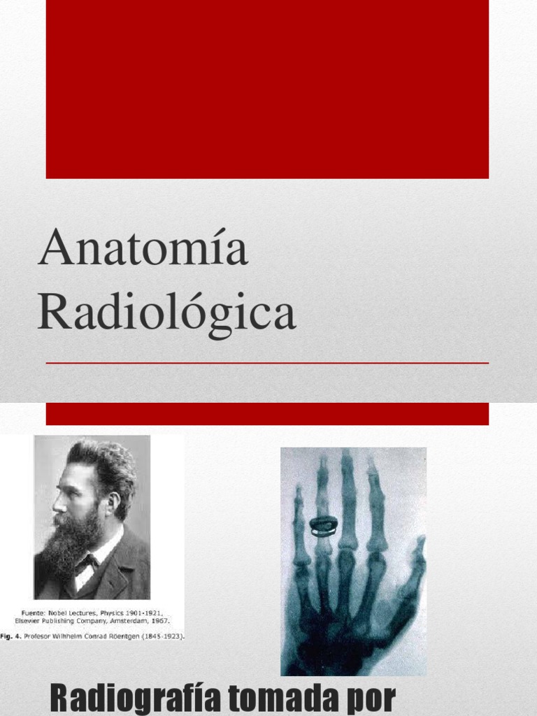 L010 Anatomía Radiológica | PDF | Anatomía humana | Cabeza y cuello humanos
