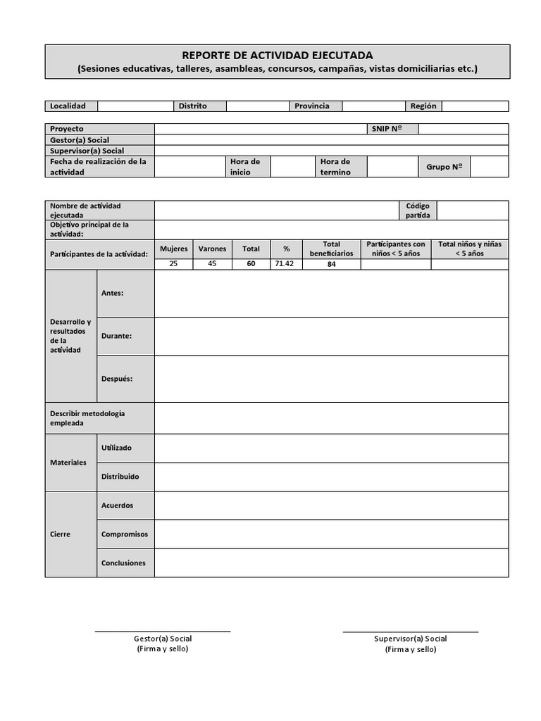 Formato de Reporte de Actividad Ejecutada | PDF | Arte