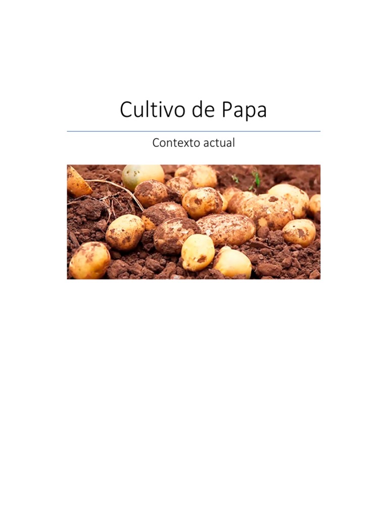 Cultivo de Papa - Contexto Actual | PDF | Patata | Tallo de la planta